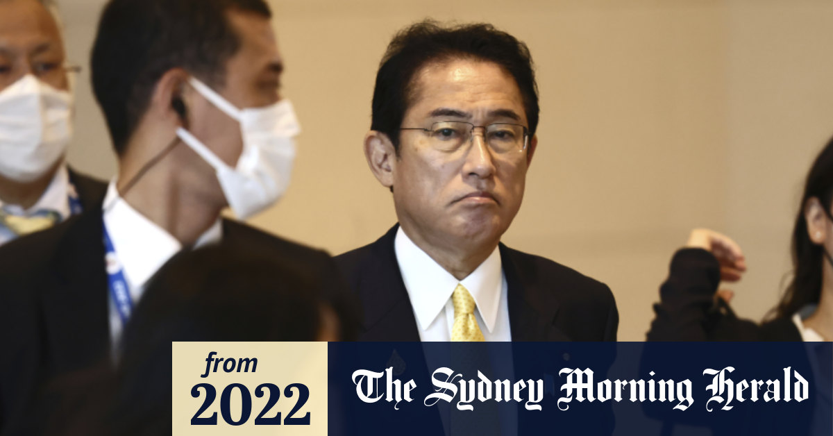 Blow for Japanese PM as third minister resigns in a month